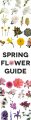 Spring Flowers: The Complete Guide | A Practical Wedding