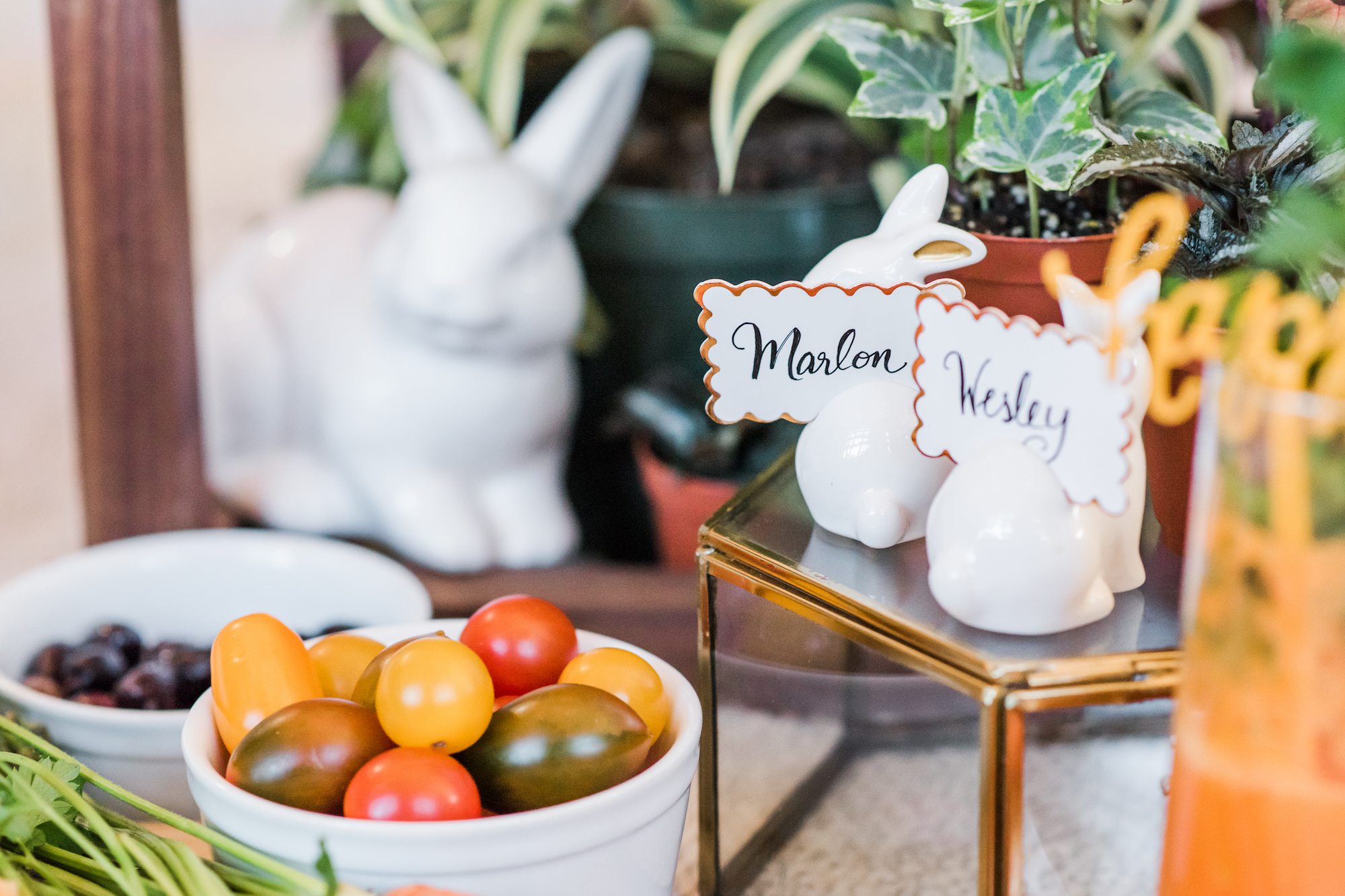 Marlon Bundo Book | eLOPement Styled Shoot | A Practical Wedding