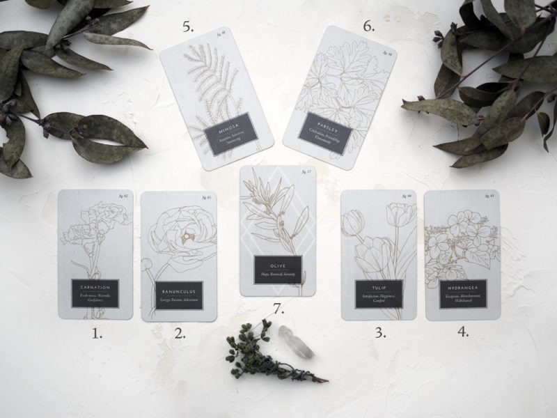 We Just Discovered Wedding Tarot And Our Office Is Obsessed | A ...