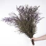 Wedding Flowers 101: Everything You Need to Know | APW